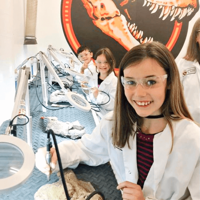 Do you love dinosaurs & fossils? Plan your experience with us today ...