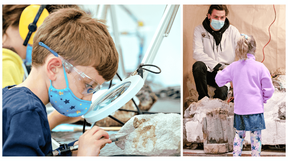 Dino Lab Inc is bringing the fossil experience to kids of all ages
