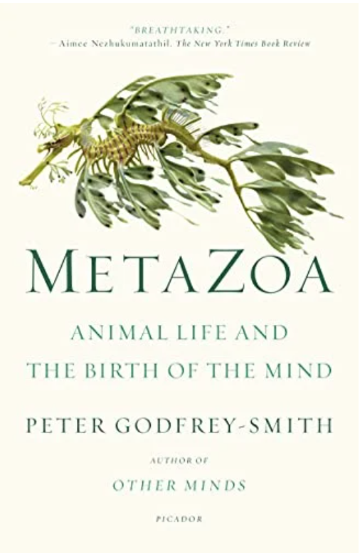 Metazoa: Animal Life and the Birth of the Mind - Dino Lab Inc