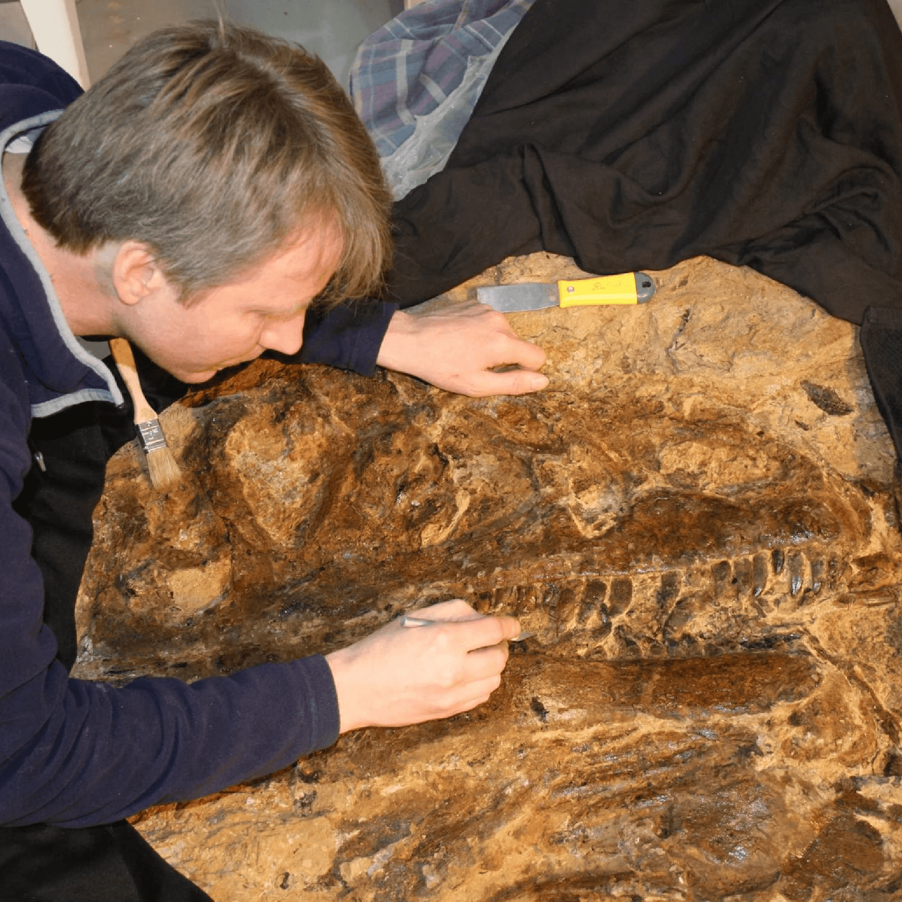 Dino Lab Inc is bringing the fossil experience to kids of all ages