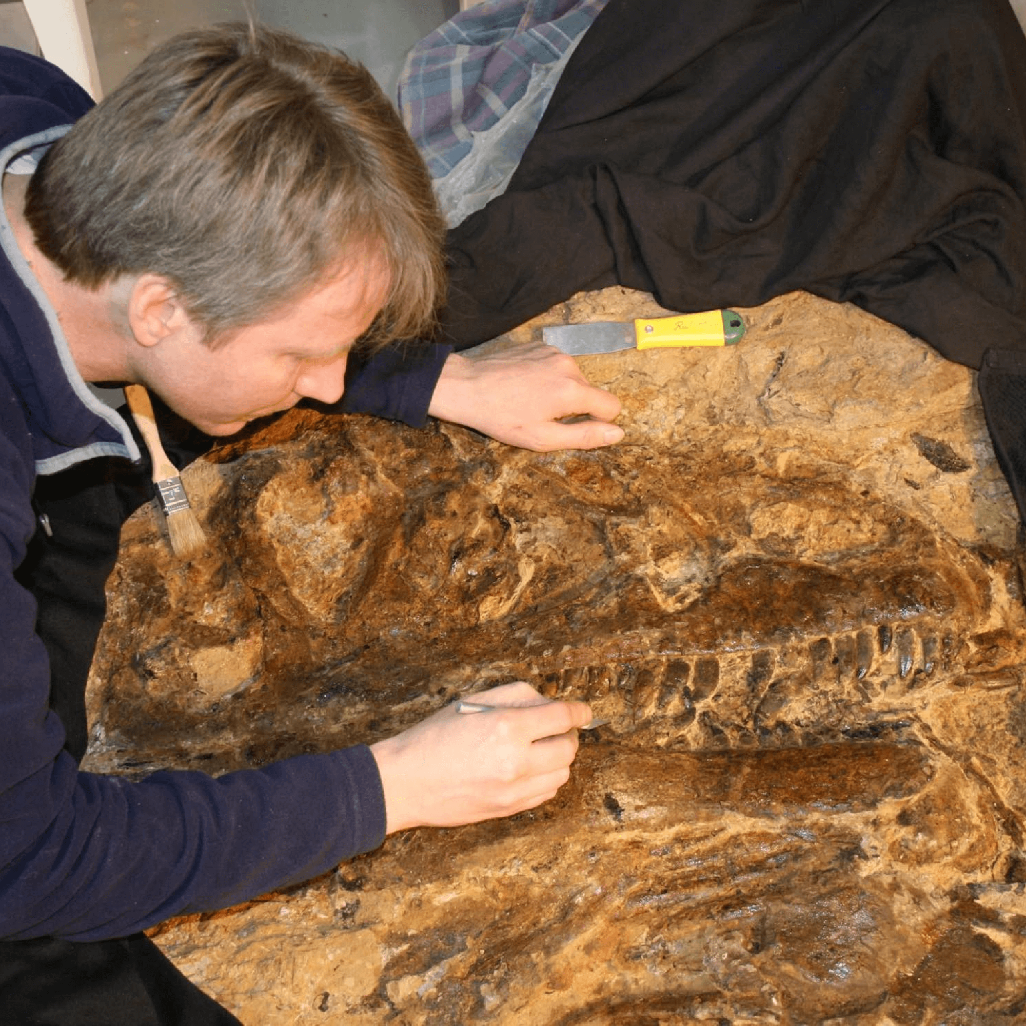 Dino Lab Inc is bringing the fossil experience to kids of all ages