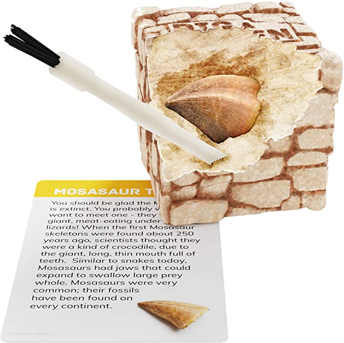 Color-By-Number! Dinosaurs - Dino Lab Inc