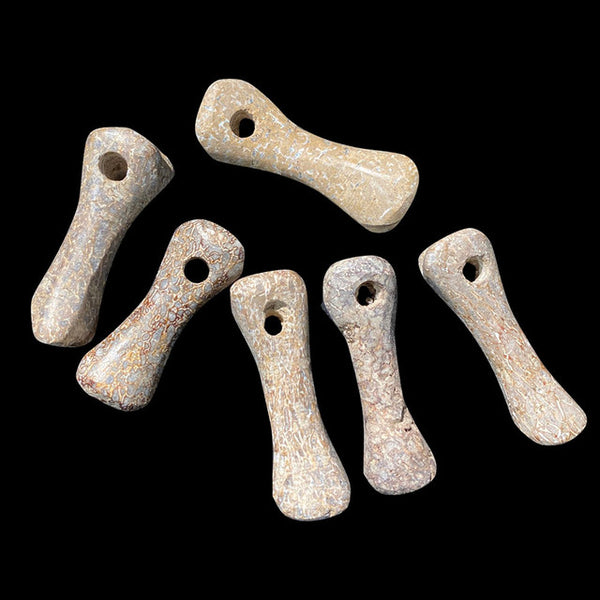 Dinosaur Bone Pendant - Dino Lab Inc